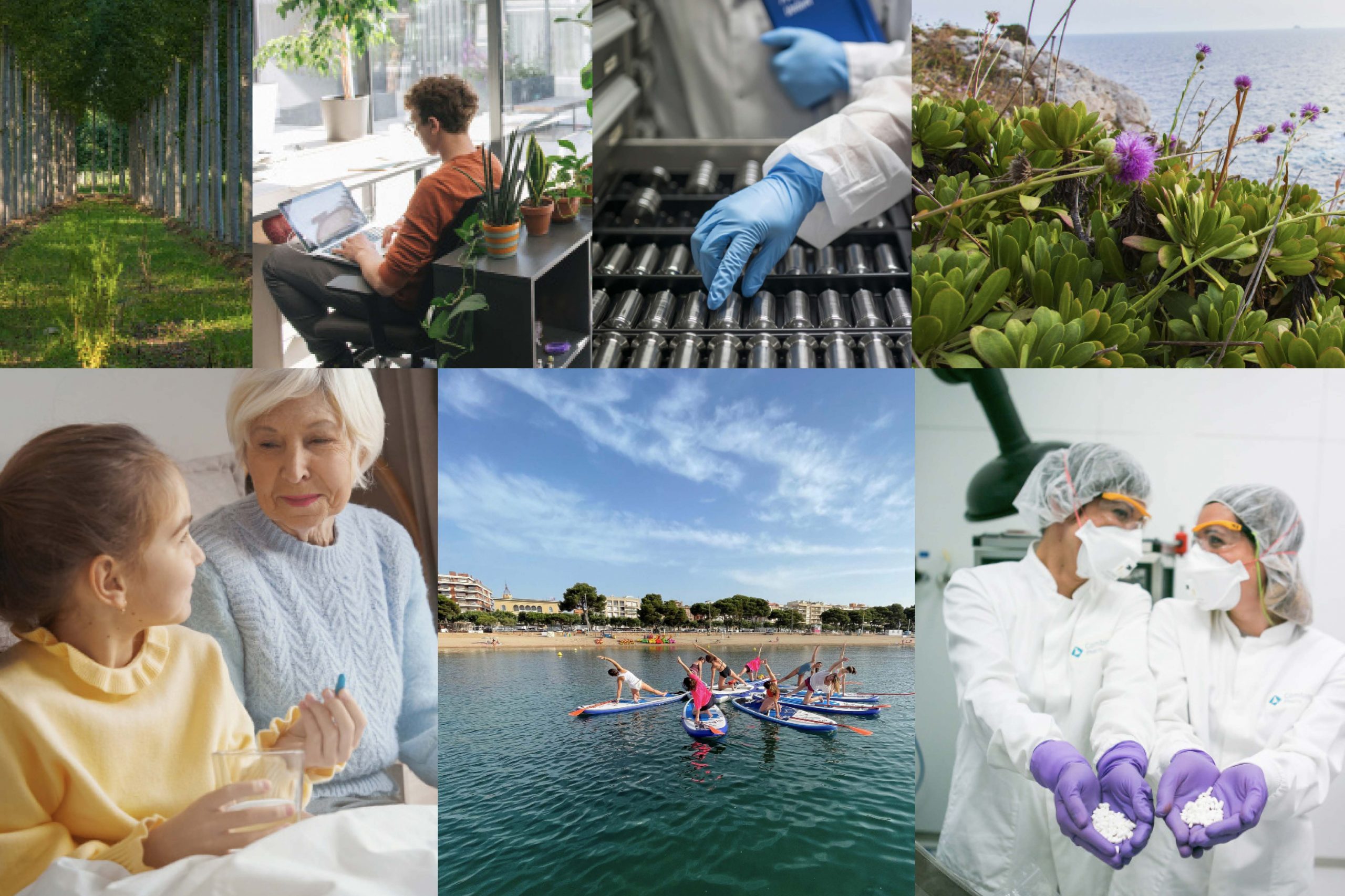 Medichem S.A | API and FDF Developer and Manufacturer